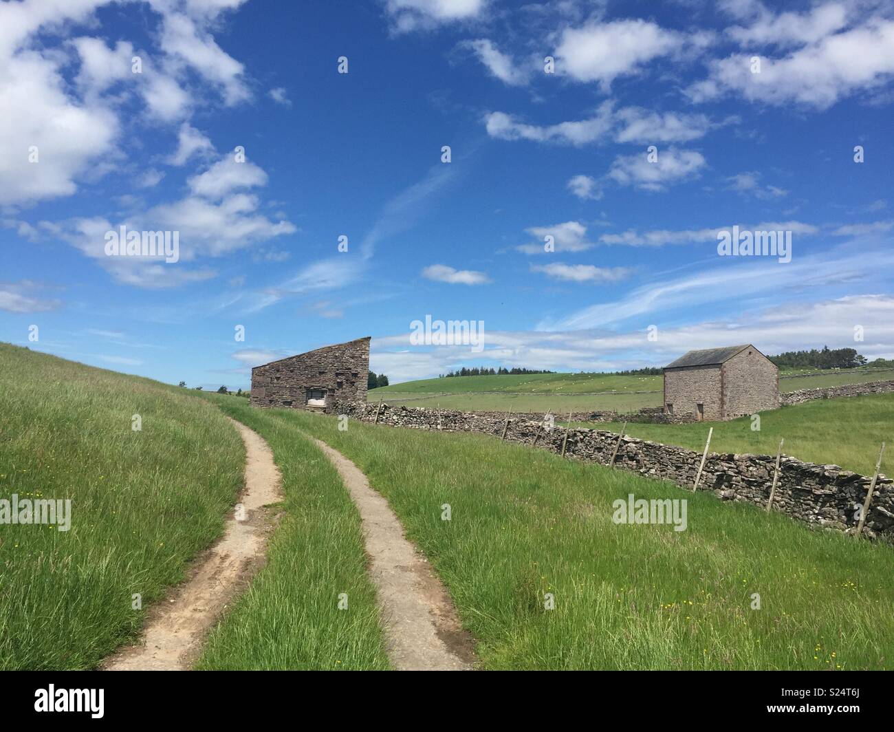 Dirt track through dry hi-res stock photography and images - Alamy
