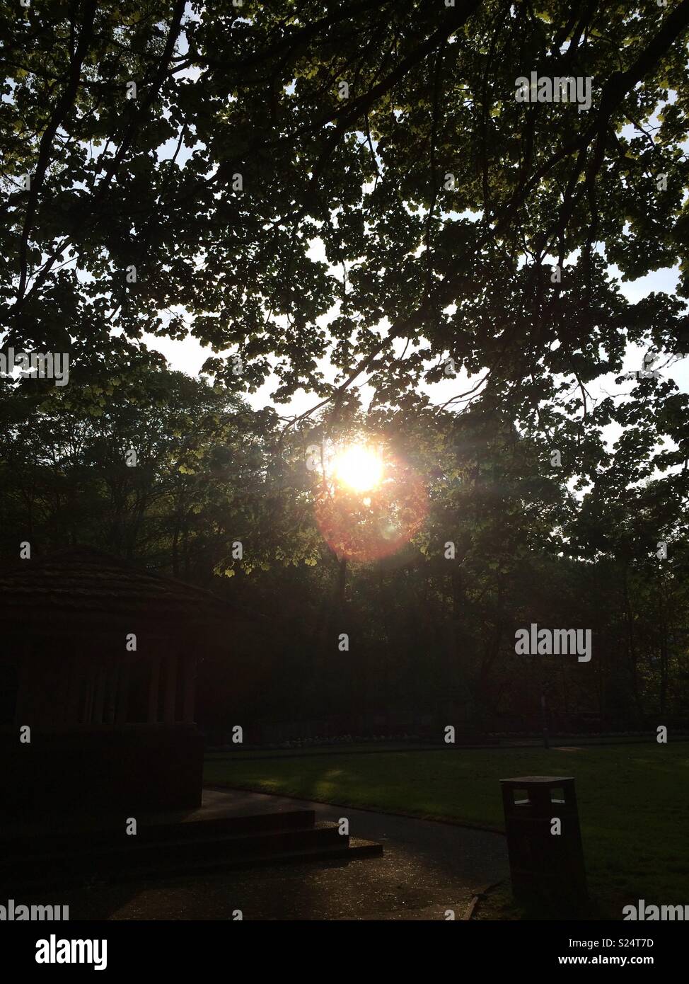 Leaves the gap hi-res stock photography and images - Alamy