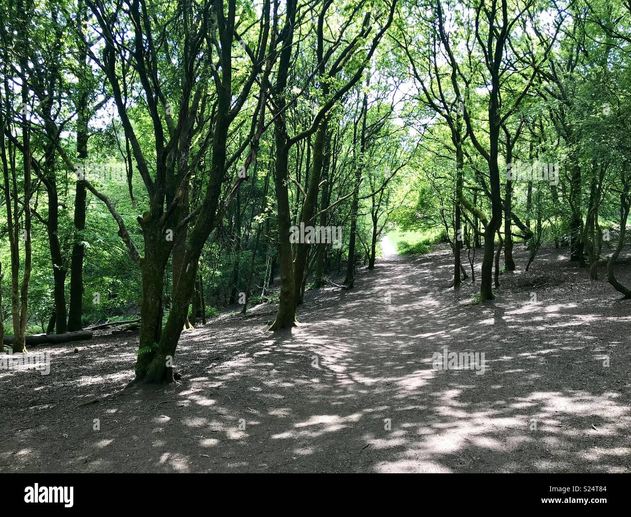 Lickey hills birmingham hi-res stock photography and images - Alamy