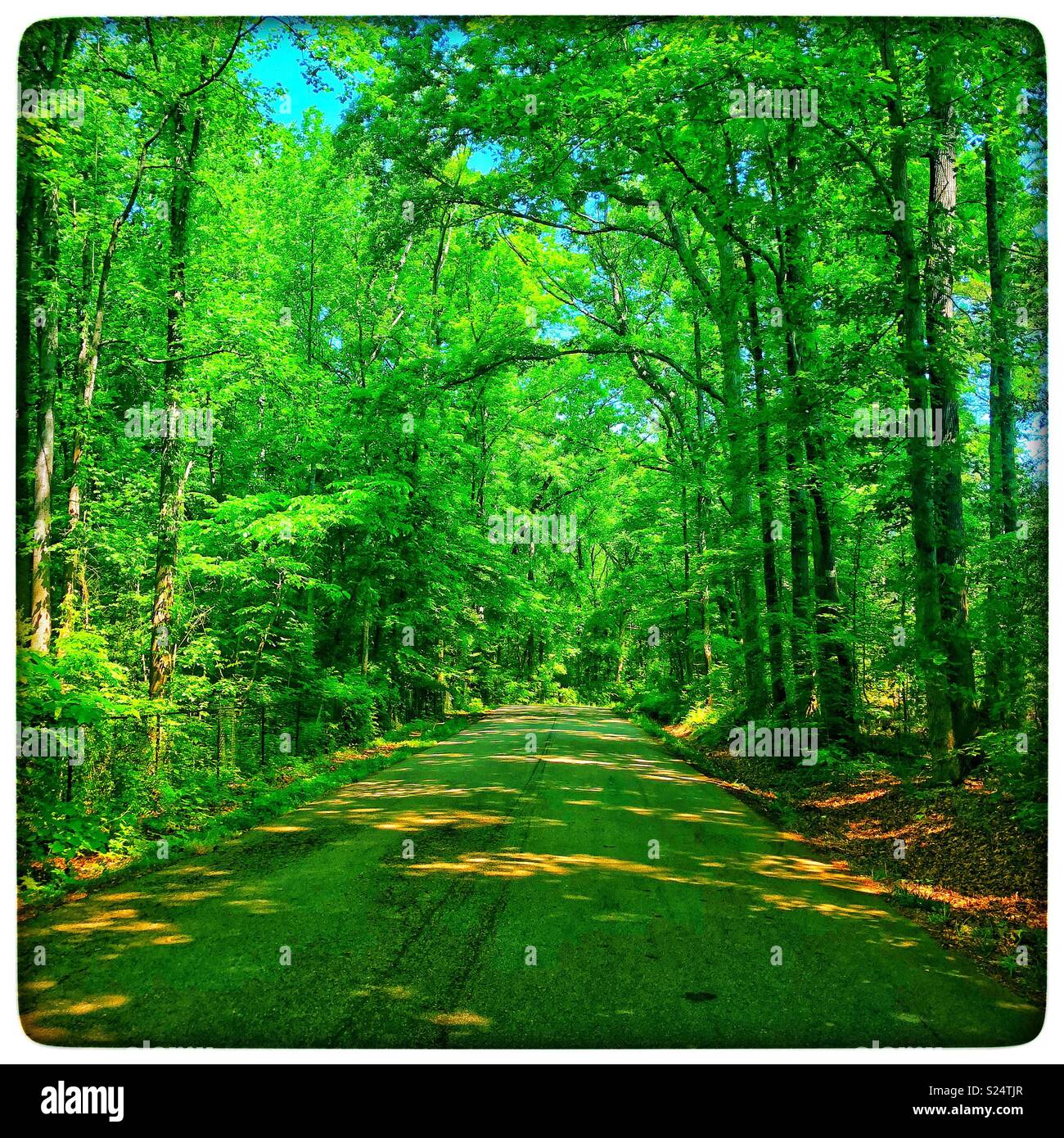 Back country roads hi-res stock photography and images - Alamy