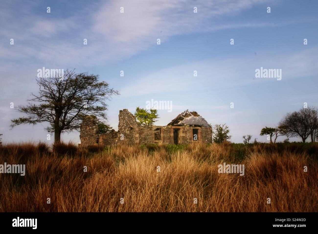 Derelict house in countryside Stock Photo - Alamy