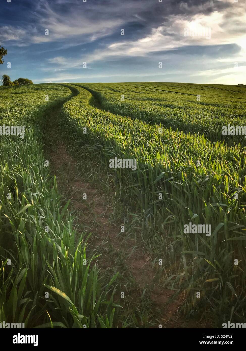 Trails for farm tractors hi-res stock photography and images - Alamy