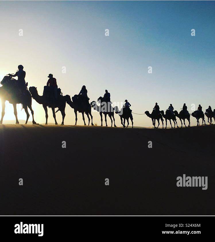 Camel rides through the Sahara near Merzouga, Morocco Stock Photo - Alamy