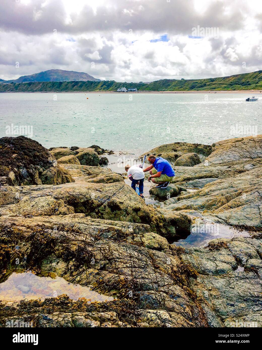 Rock pool for kids hi-res stock photography and images - Alamy