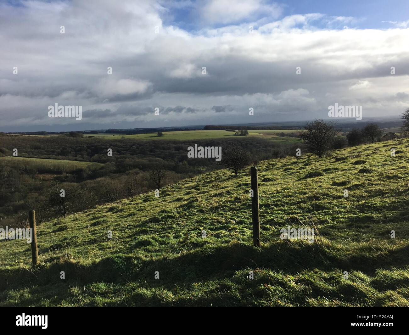 Win green hi-res stock photography and images - Alamy