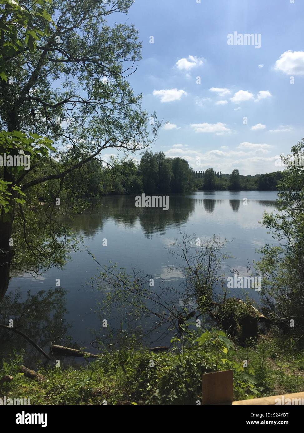 English pond hi-res stock photography and images - Alamy