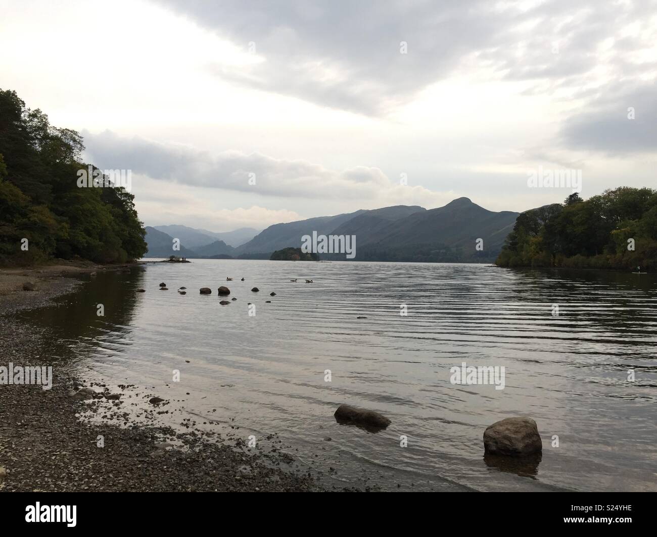 Lakeside view hi-res stock photography and images - Alamy