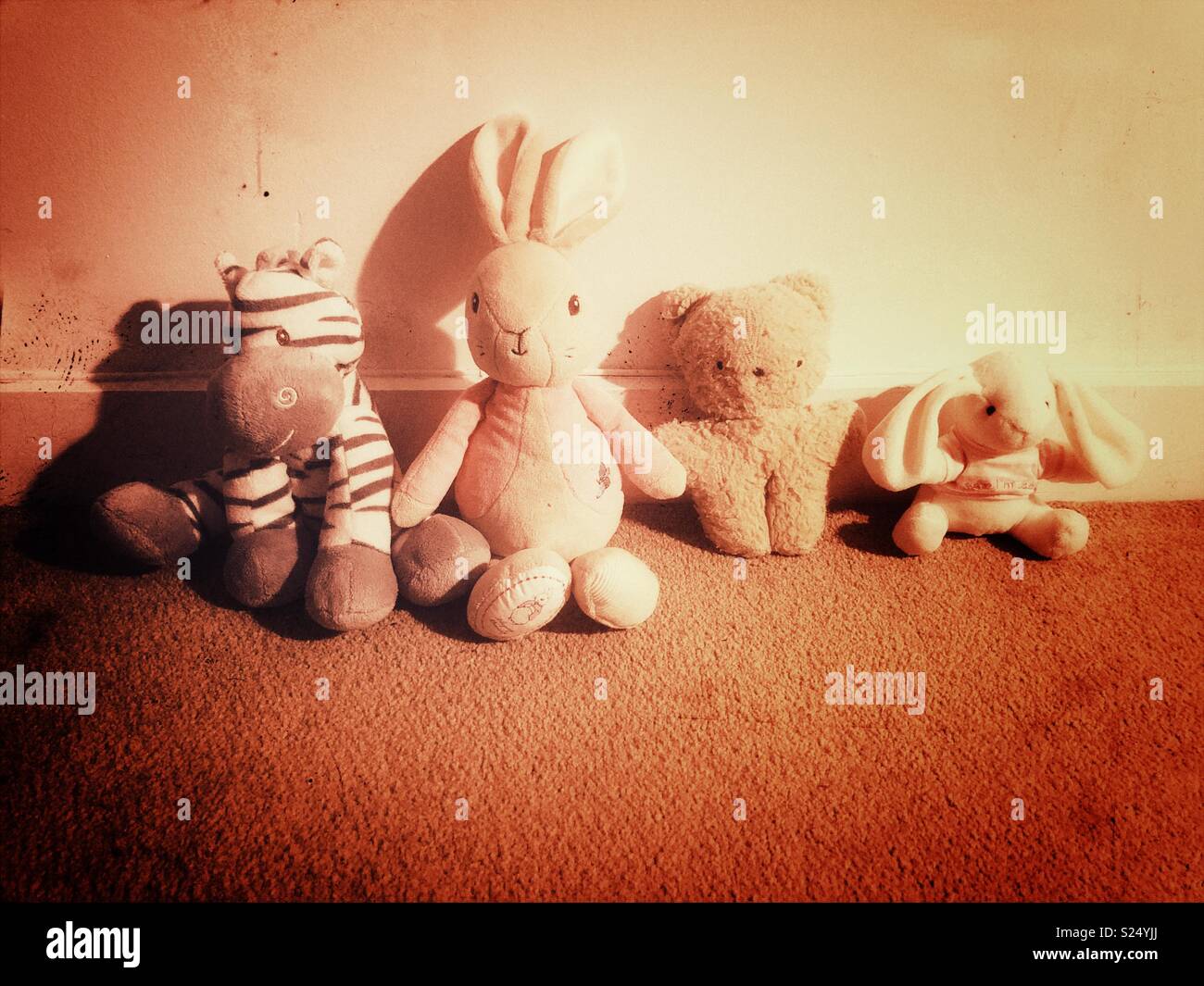 Teddy zebra hi-res stock photography and images - Alamy