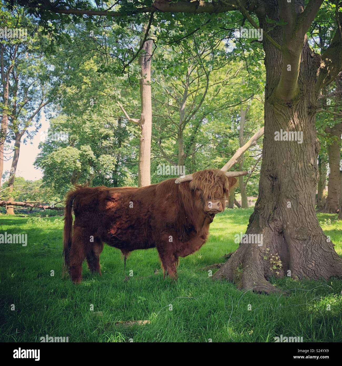 Wanlip High Resolution Stock Photography and Images - Alamy