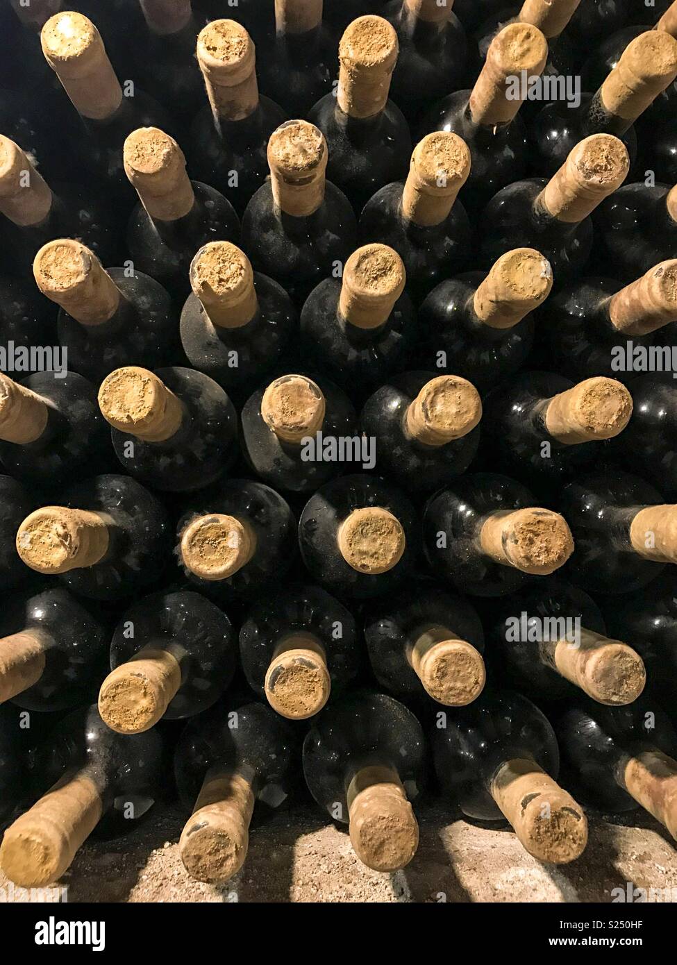 Bottles of wine in the wine cellar Stock Photo - Alamy