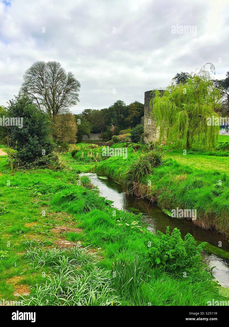 Stream running through grass Stock Photo - Alamy