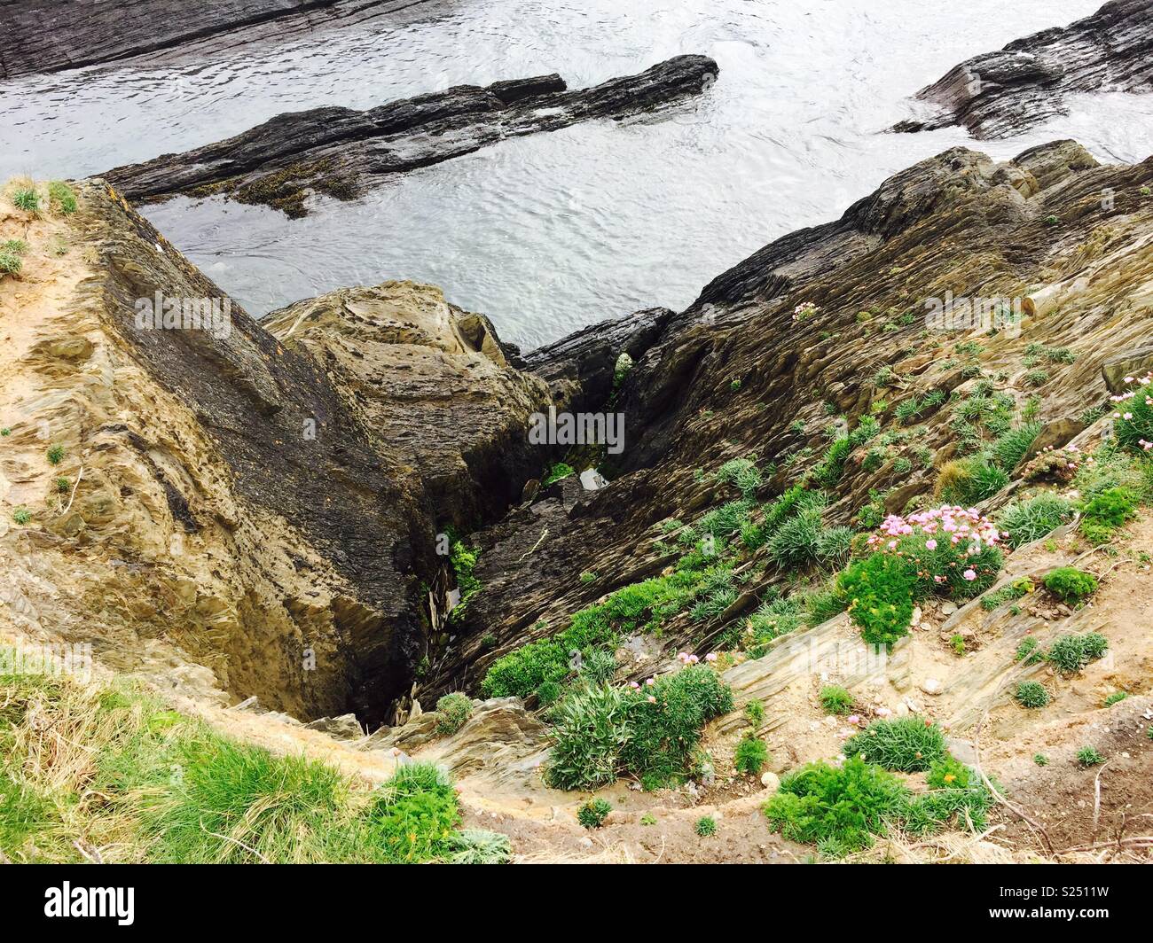 Cliff grass hi-res stock photography and images - Alamy