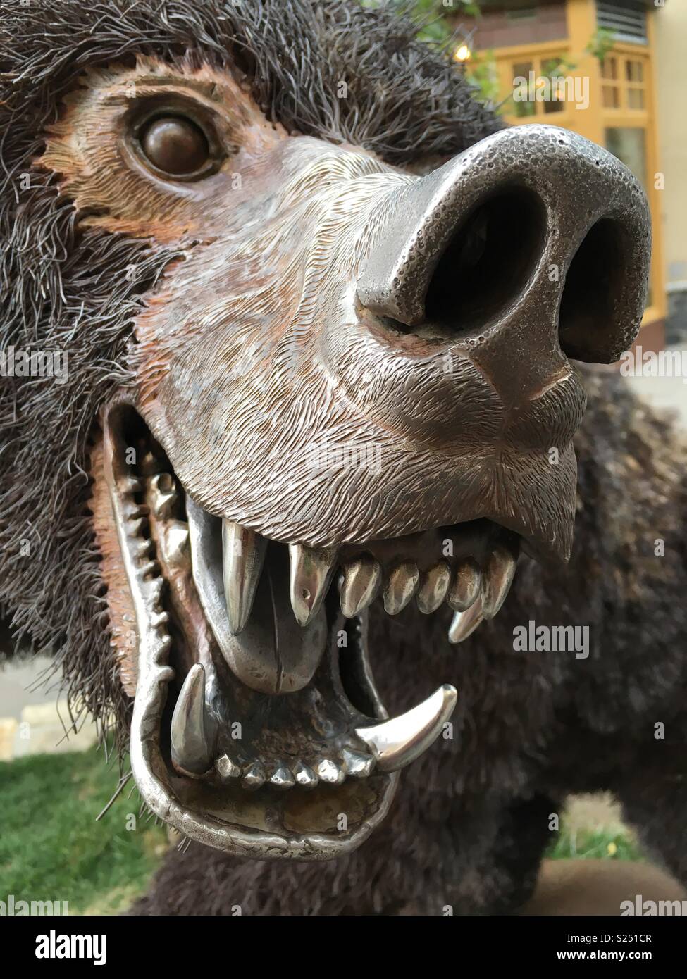 Mammoth lakes bear hi-res stock photography and images - Alamy