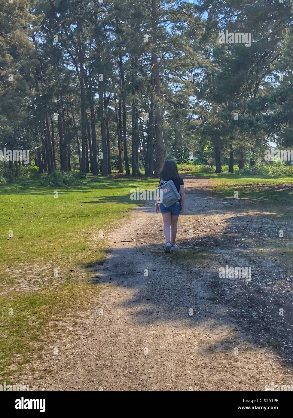 Relaxing walk around Deerleap enclosure, New Forest Stock Photo - Alamy