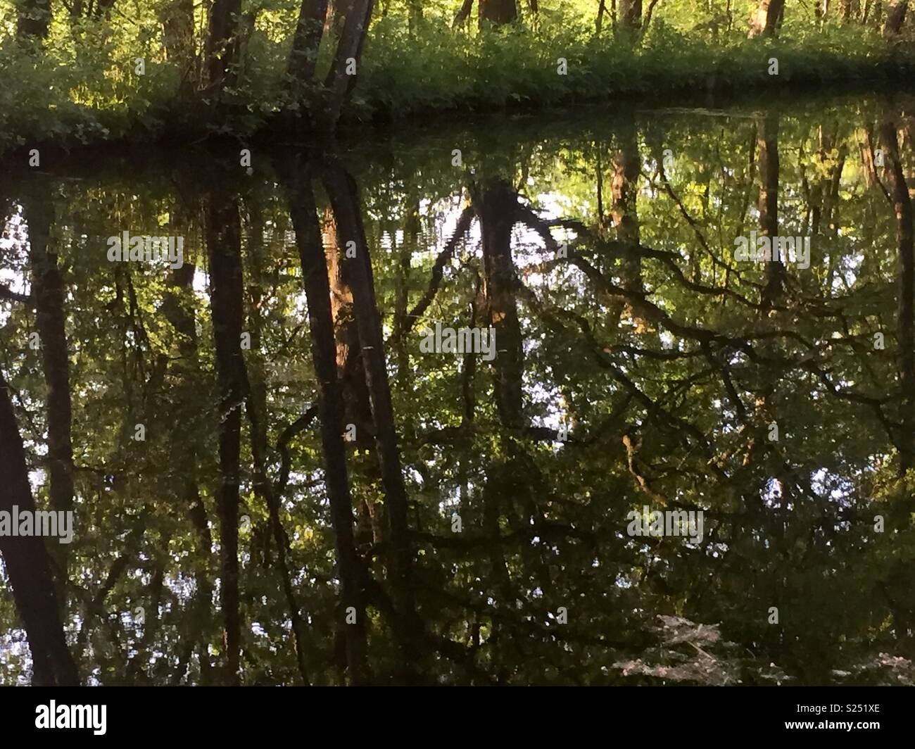 Deep colourful reflection in the water of the trees above Stock Photo ...