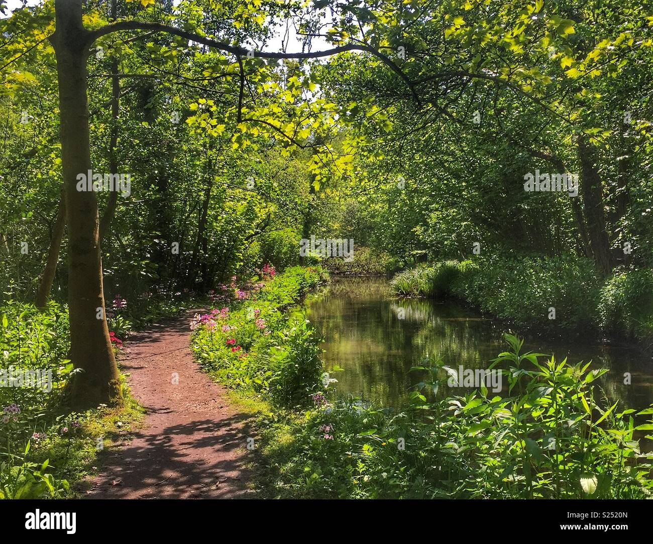 Flowers beside the river hi-res stock photography and images - Alamy