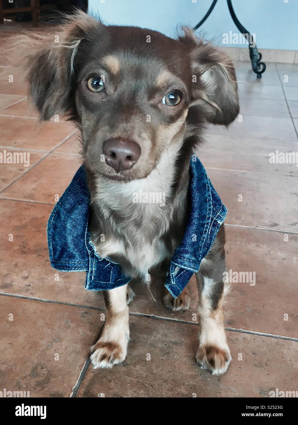 Cool kid hi-res stock photography and images - Alamy