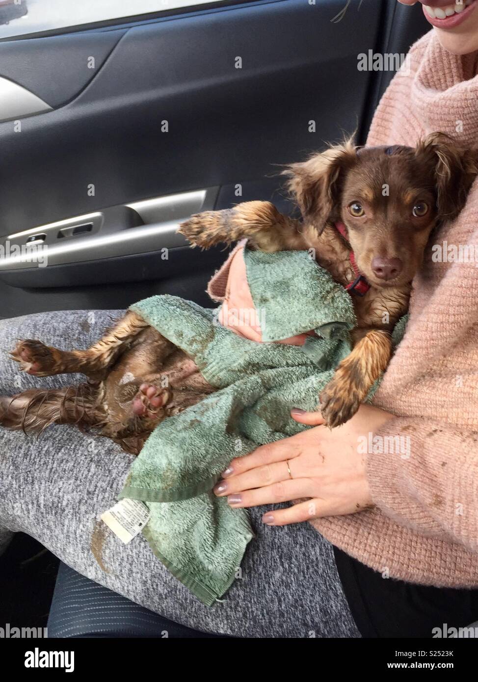 Girl dog dirty hi-res stock photography and images - Alamy