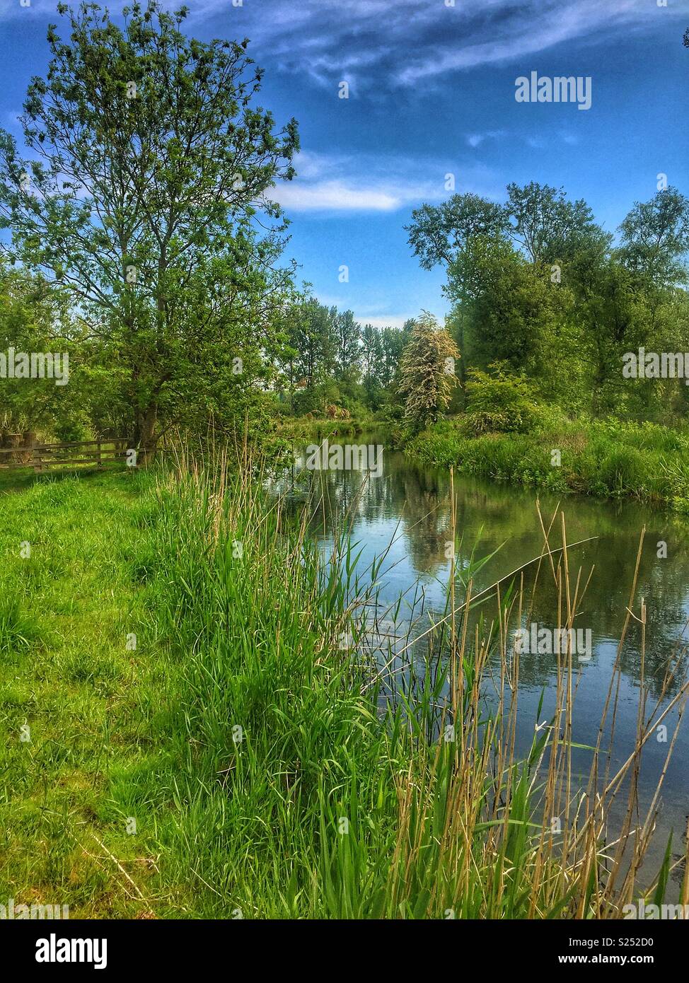 Winnall moors nature reserve hi-res stock photography and images - Alamy
