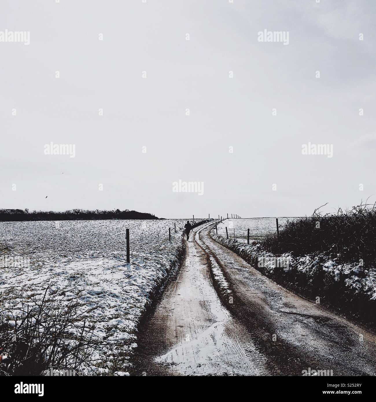 A snowy track in the Cornish countryside Stock Photo - Alamy