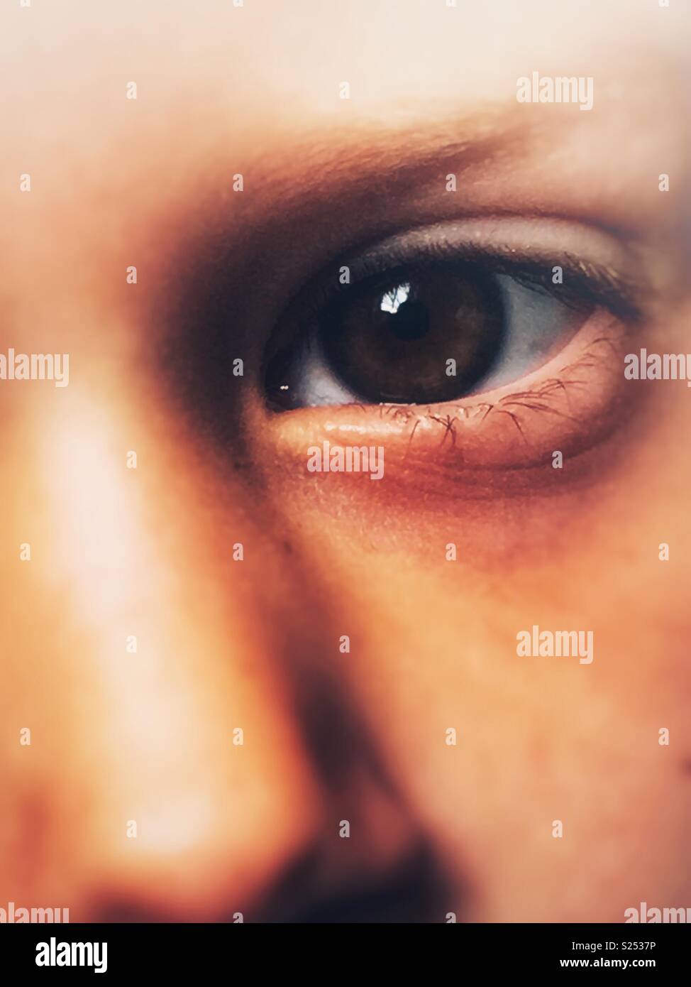 Brown eyebrows hi-res stock photography and images - Alamy