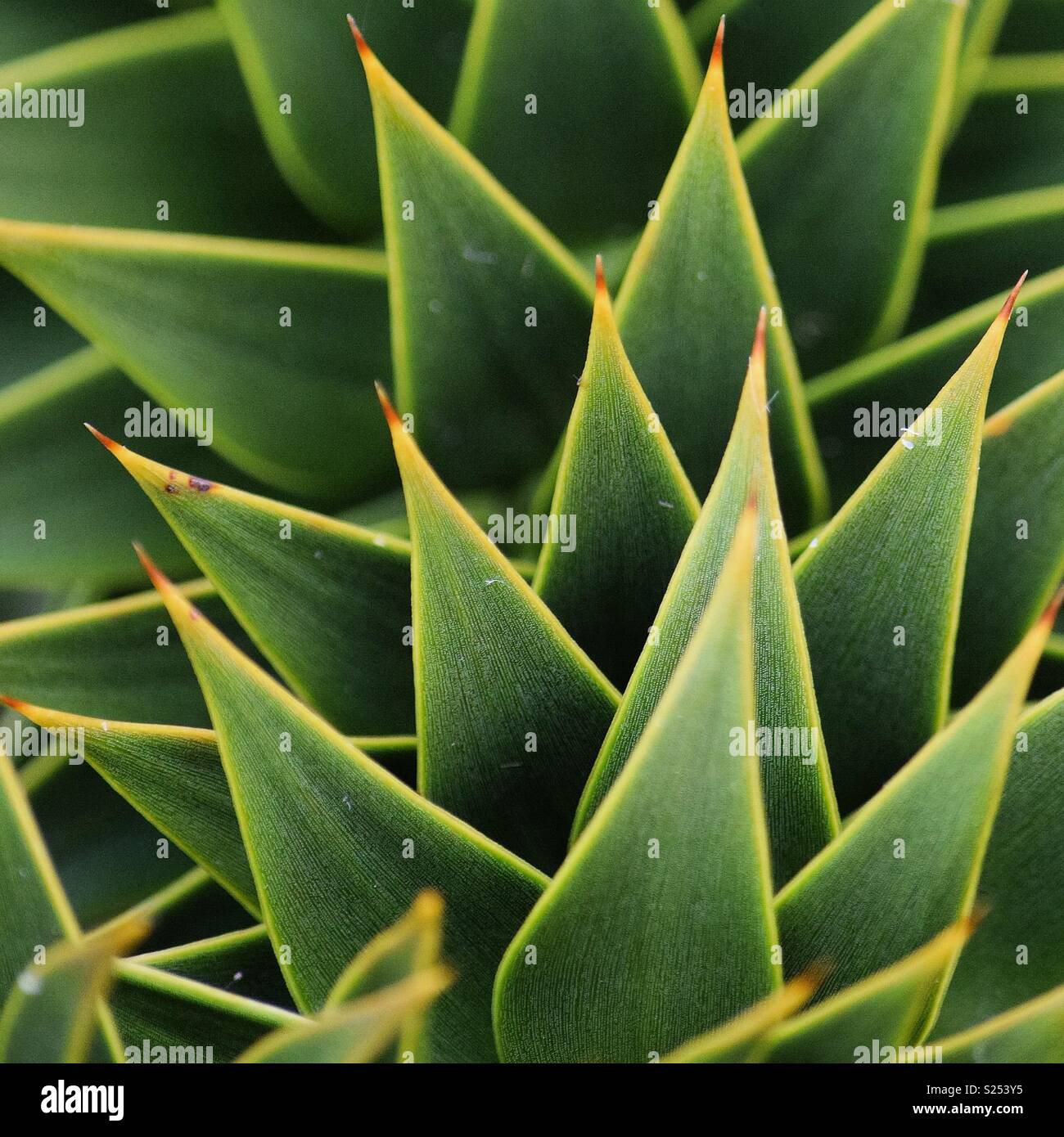 Pleasing lines hi-res stock photography and images - Alamy