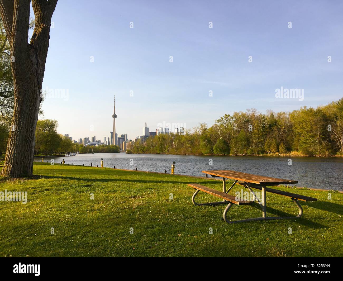 Parc trees sky hi-res stock photography and images - Alamy