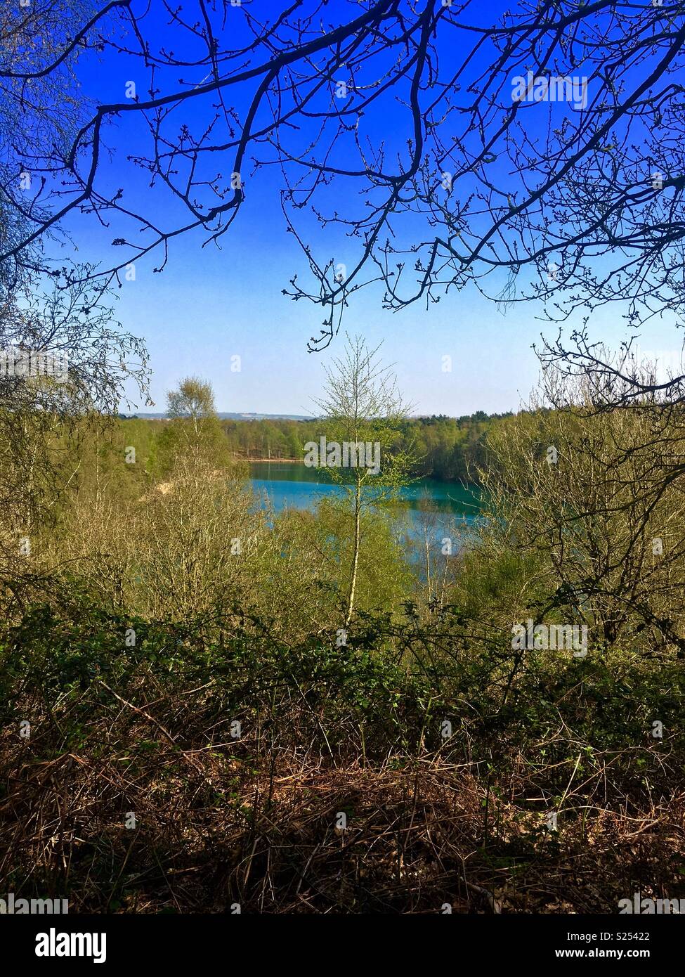 Glimpse of peaceful pool Stock Photo - Alamy