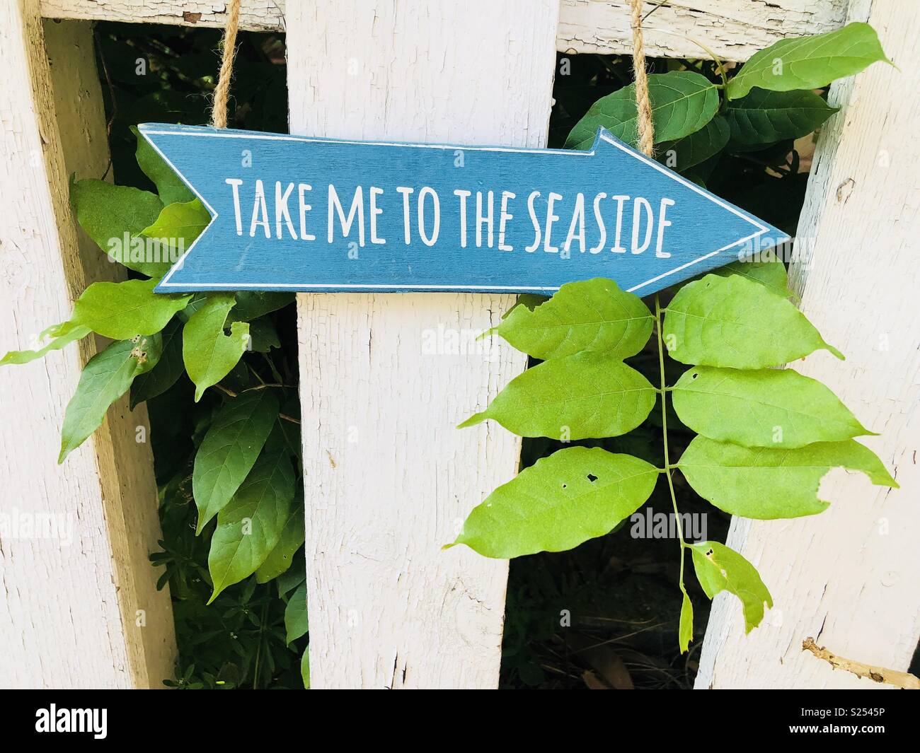 Take me to the seaside signage with wisteria leaves Stock Photo - Alamy
