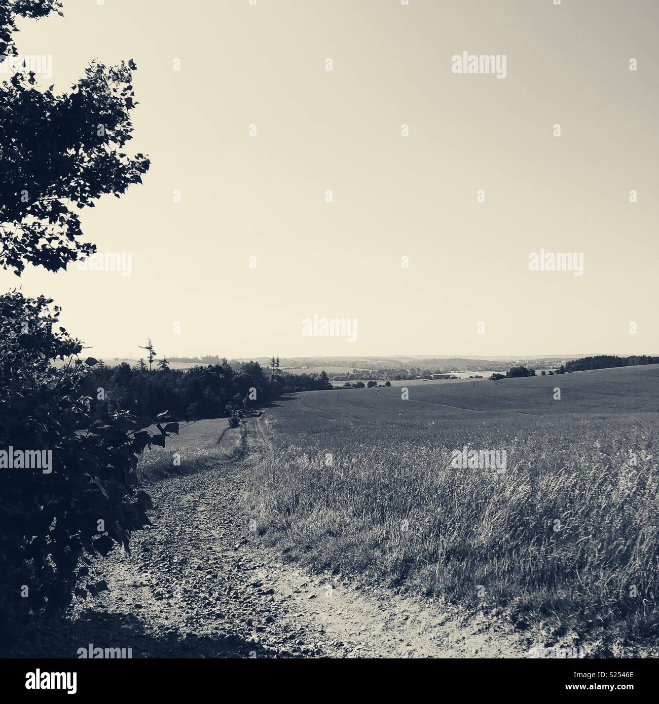 Field path hi-res stock photography and images - Alamy