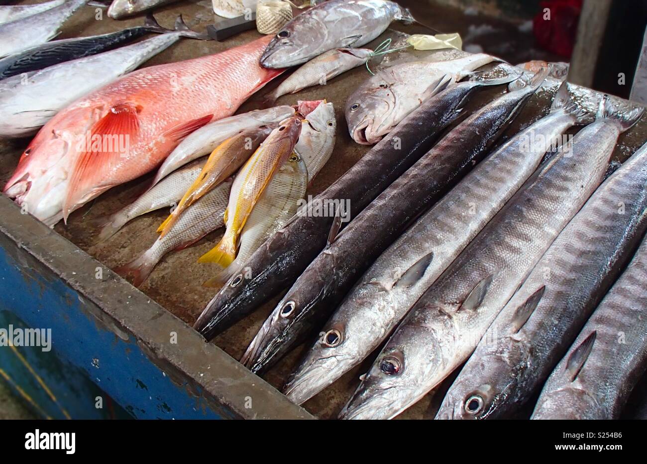 Seychelles food hi-res stock photography and images - Alamy