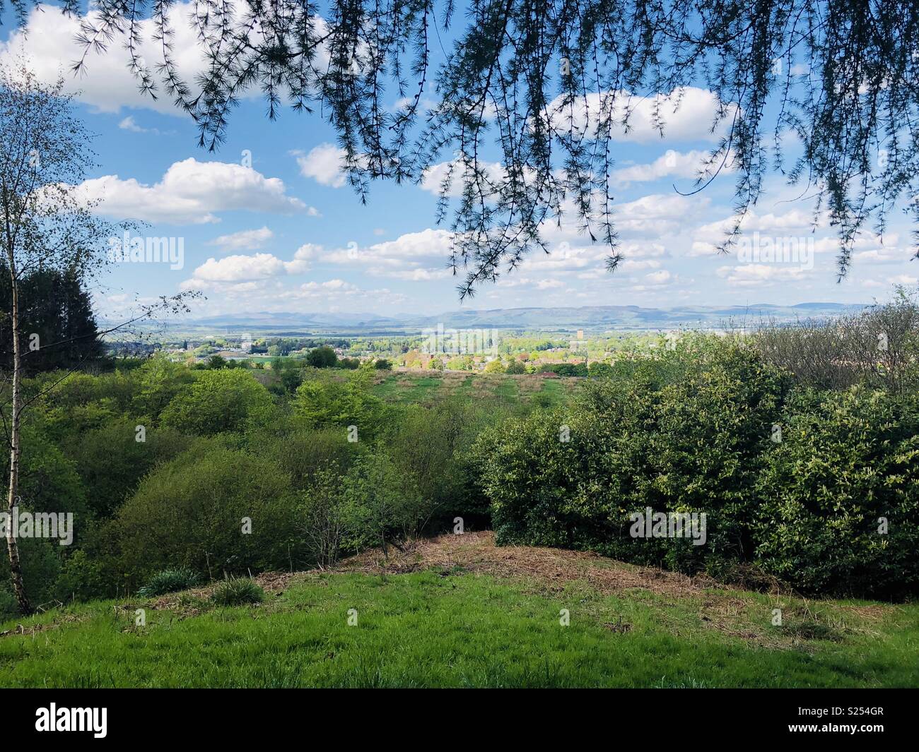 Trees sky view hi-res stock photography and images - Alamy