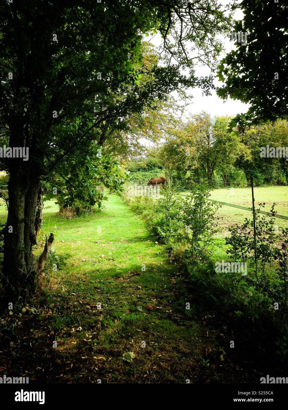 Garden next to field Stock Photo - Alamy