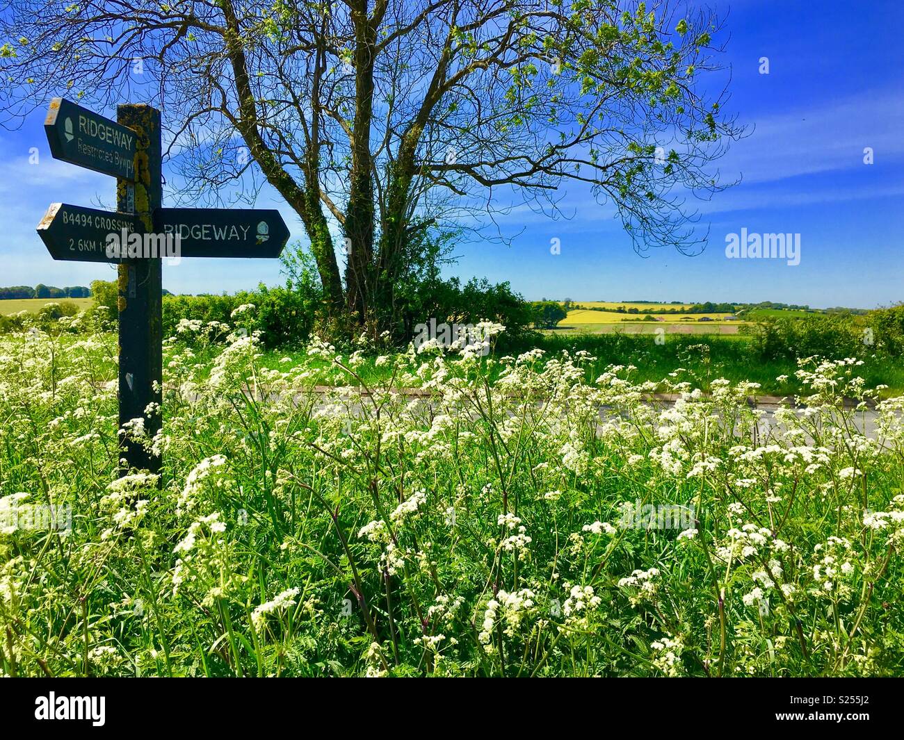 Ridgeway signpost hi-res stock photography and images - Alamy