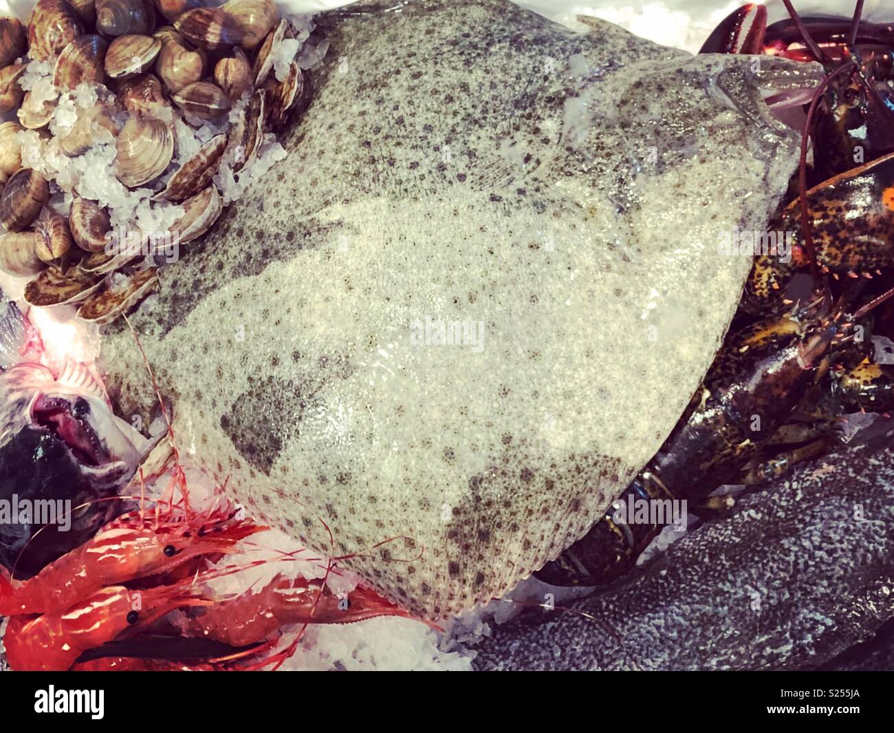 Pile of seafood Stock Photo - Alamy