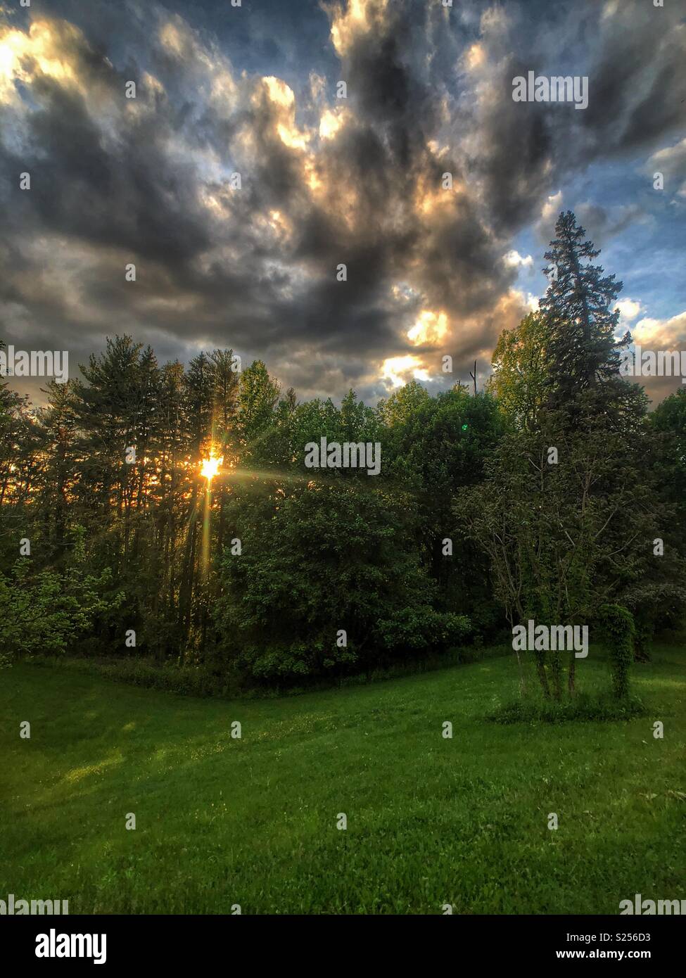 Sunset through treeline hi-res stock photography and images - Alamy