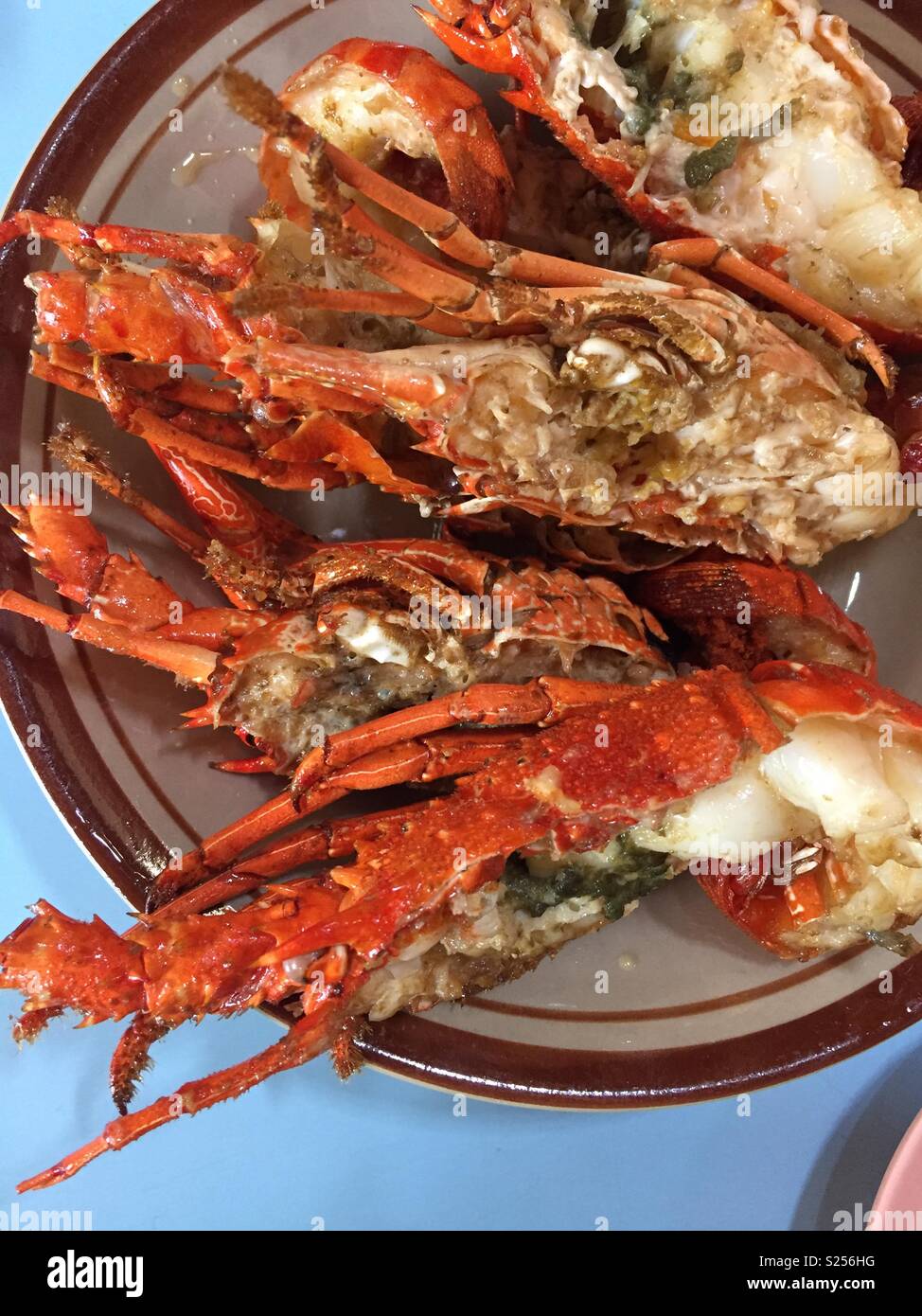 Pantai Timang lobster Stock Photo - Alamy