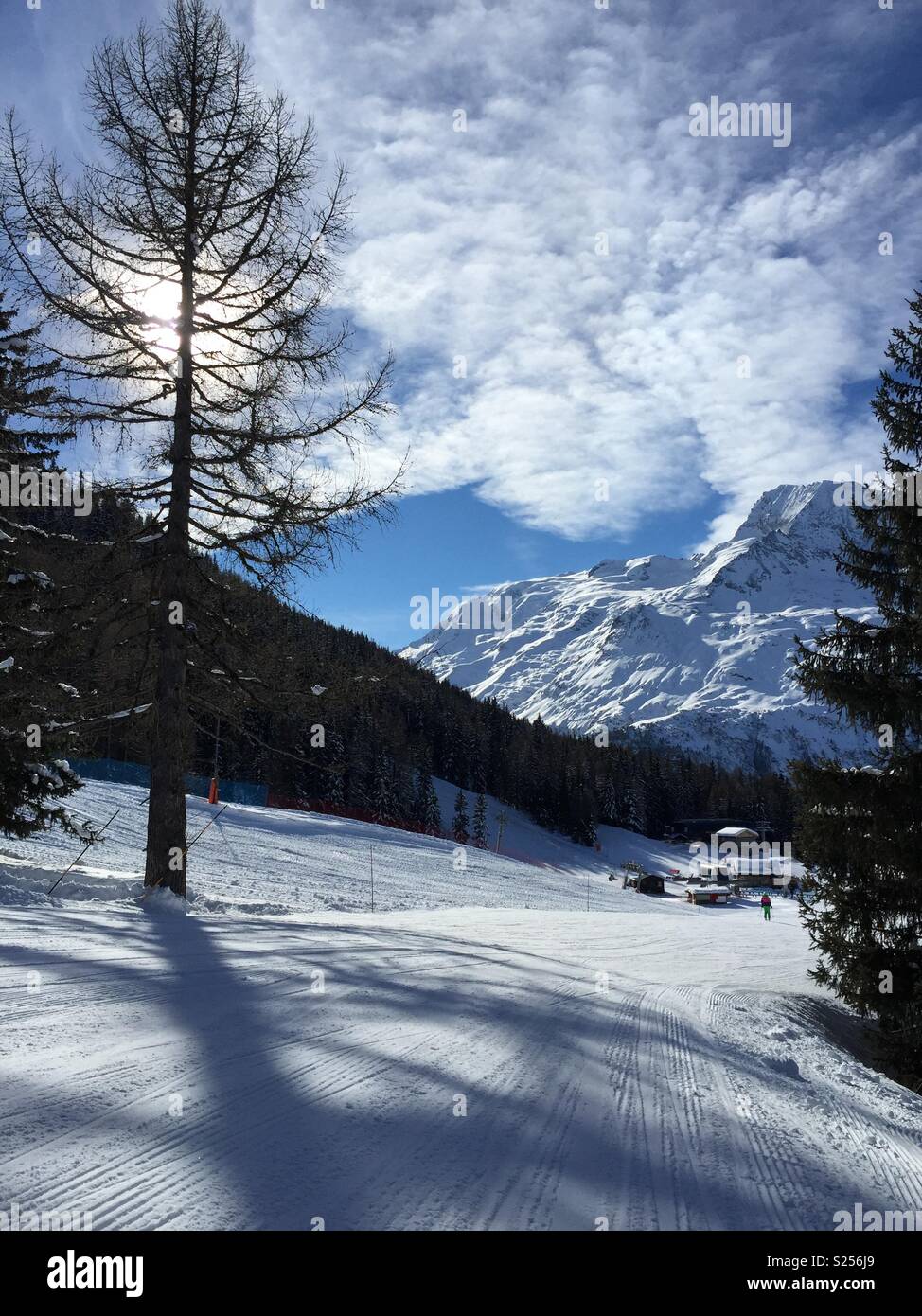 Tarentaise hi-res stock photography and images - Alamy