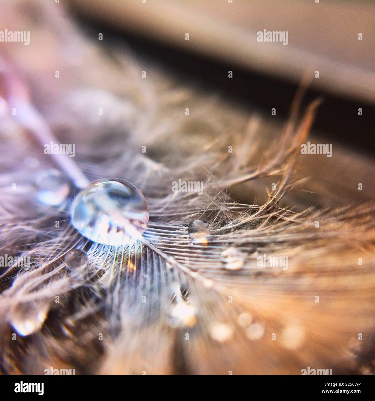 Water tones hi-res stock photography and images - Alamy