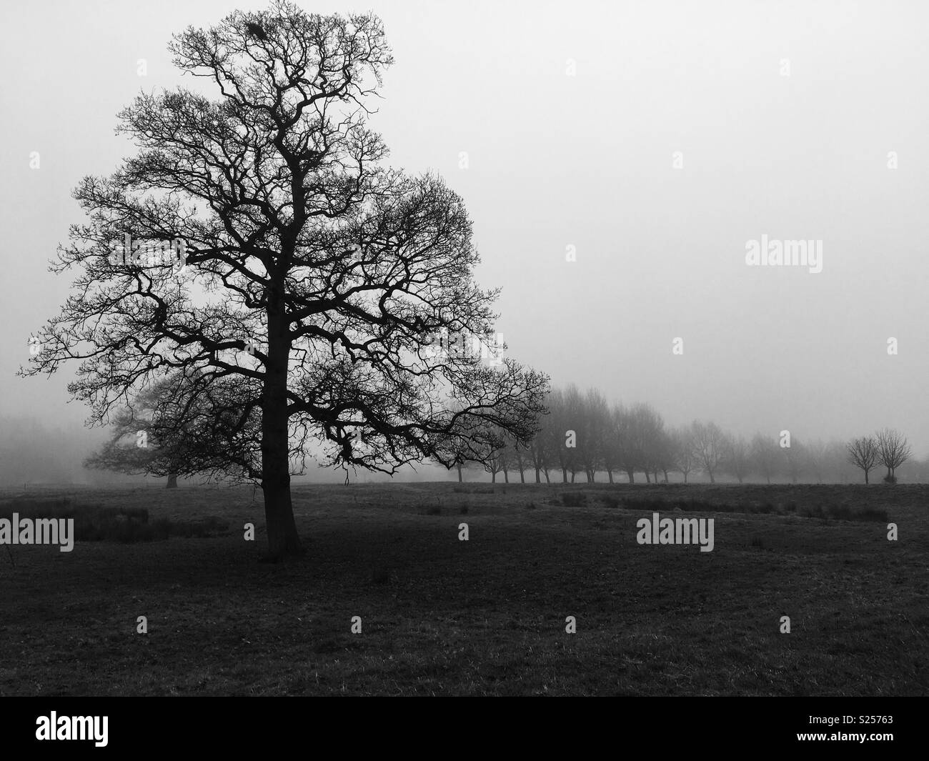 Bleak midwinter hi-res stock photography and images - Alamy