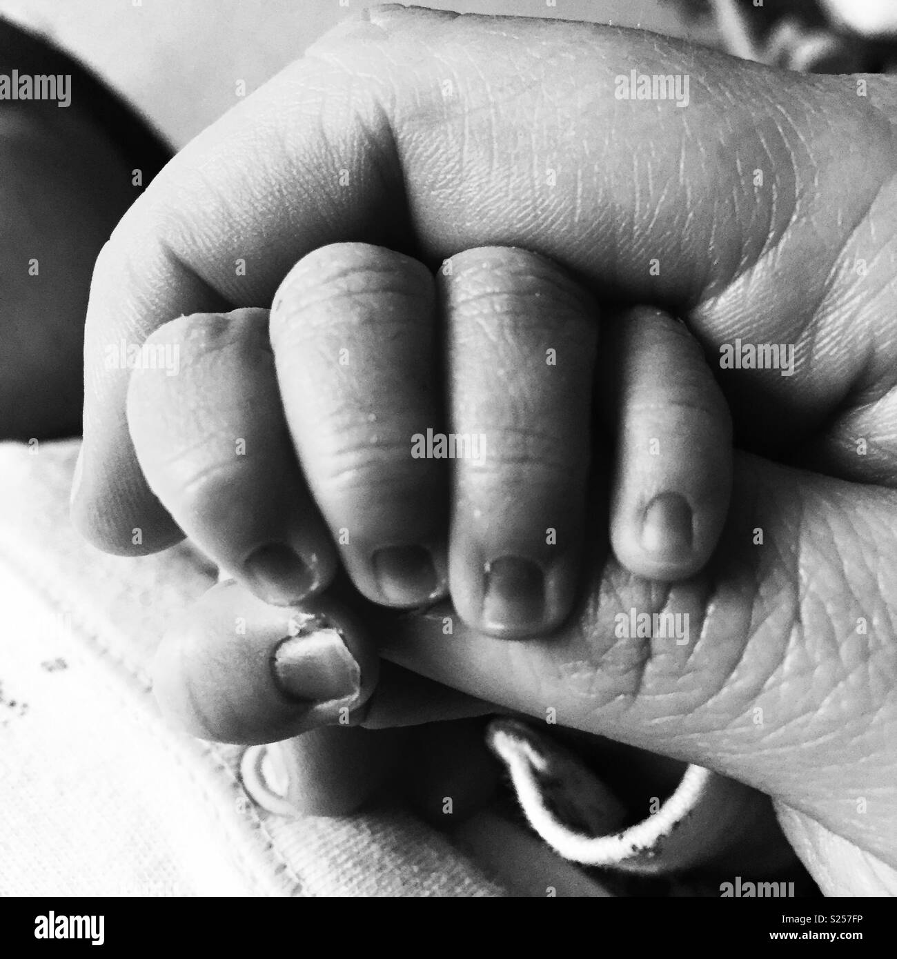 Baby hand hi-res stock photography and images - Alamy
