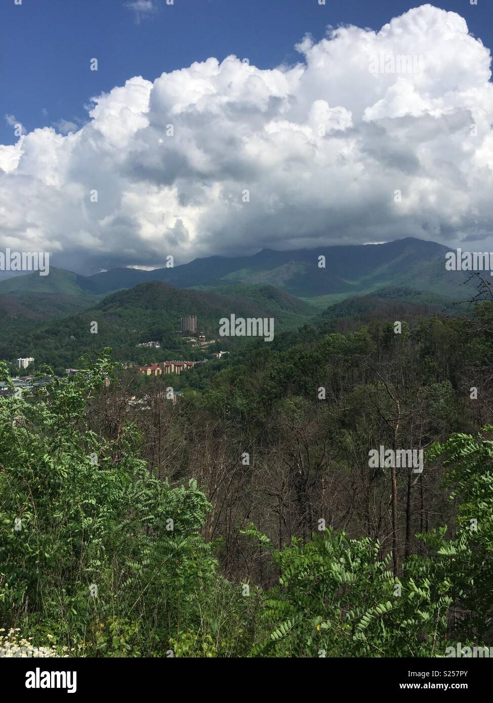 Smoky mountains of tennessee hi-res stock photography and images - Alamy