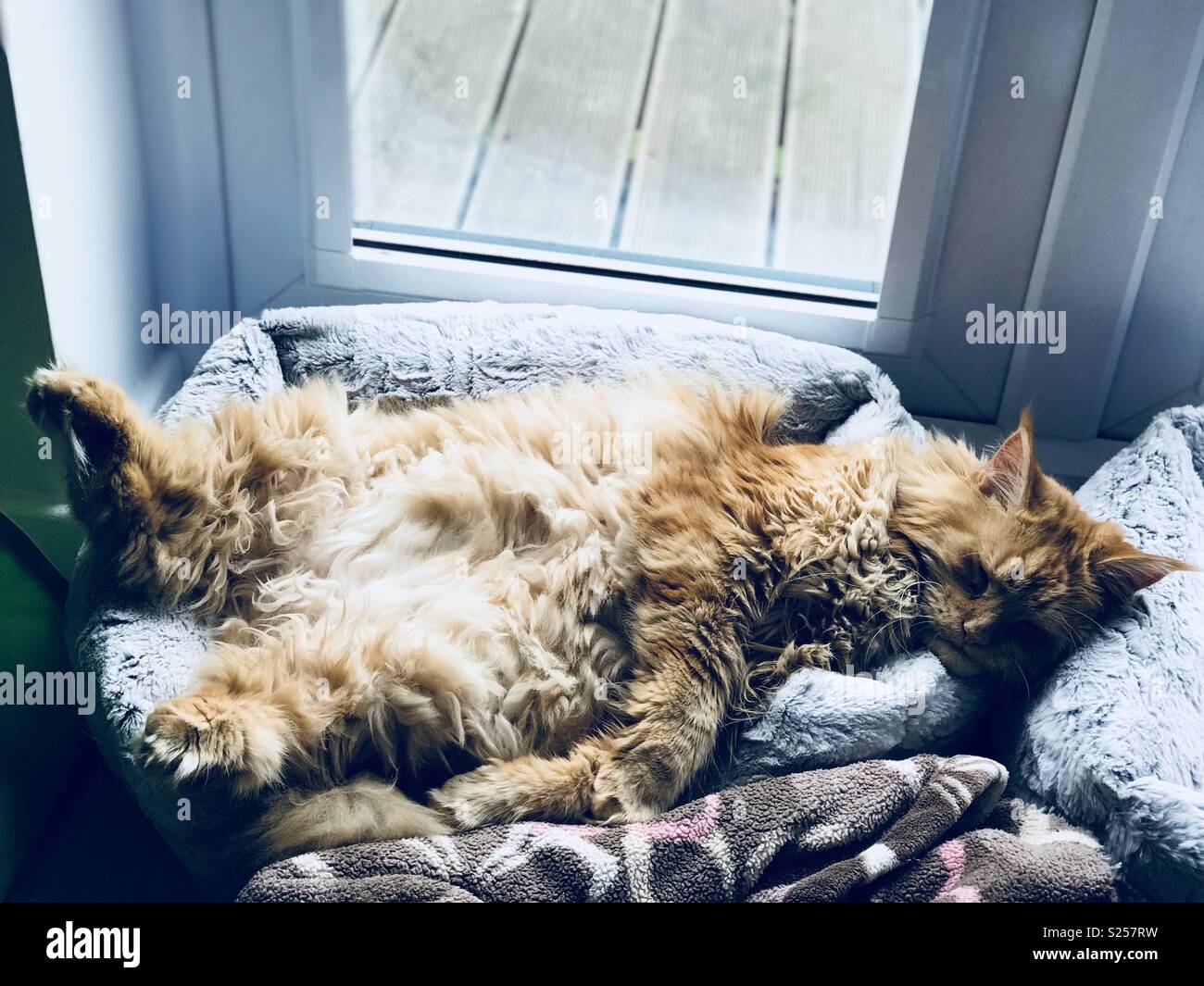 The ultimate relaxation pose Stock Photo - Alamy