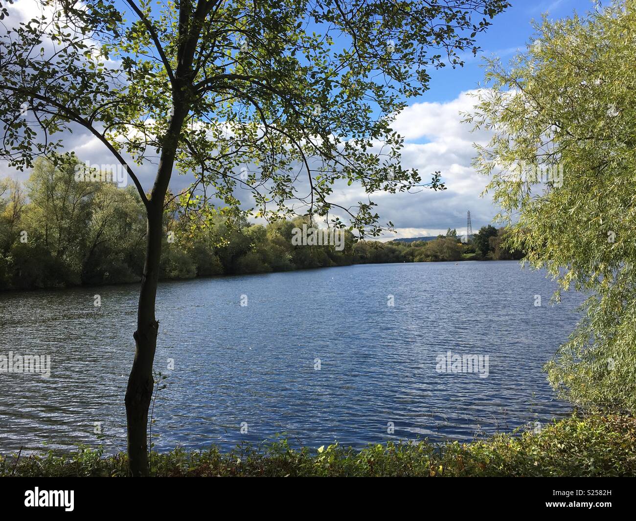 Nature in London Stock Photo - Alamy