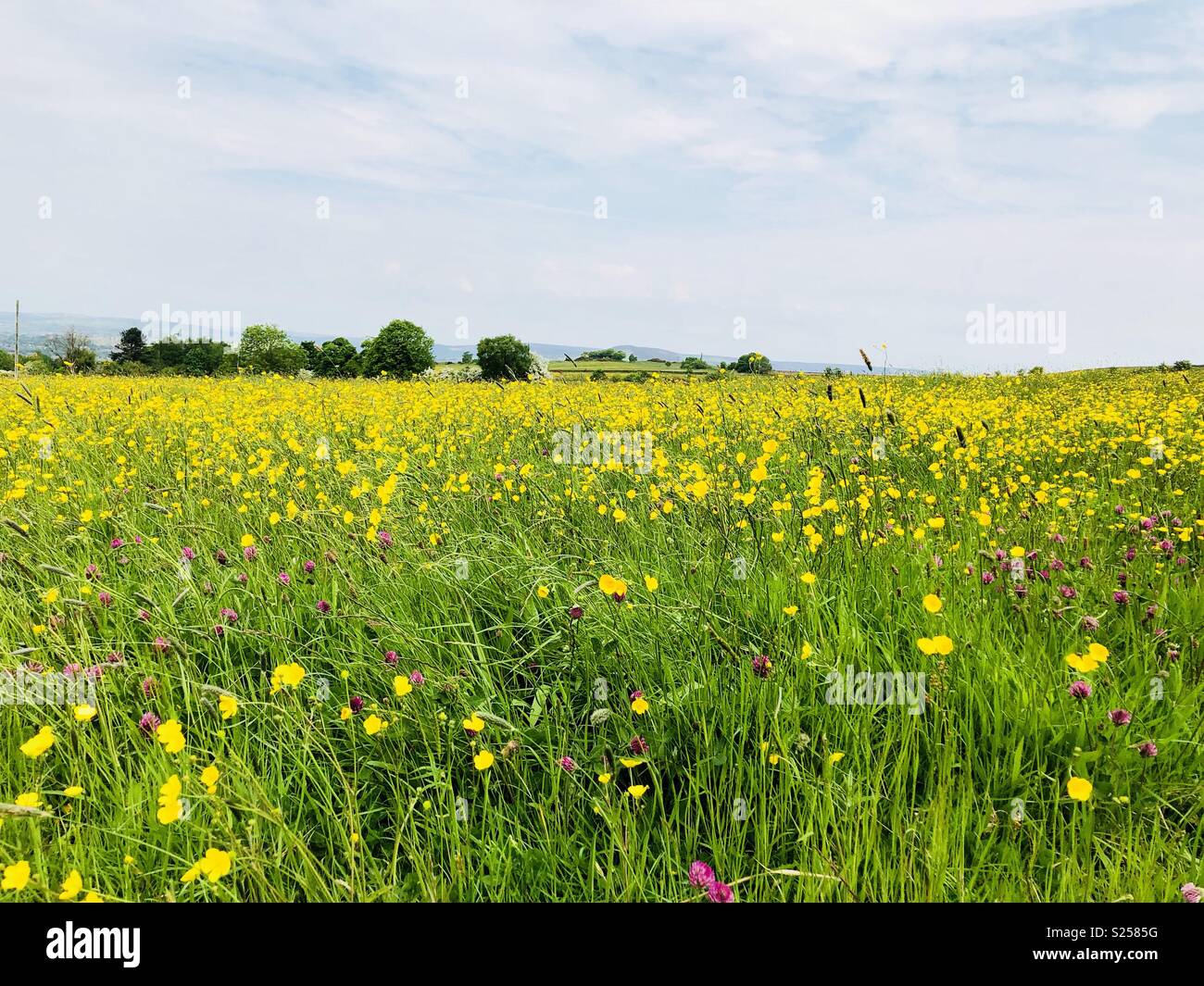 Werneth low hi-res stock photography and images - Alamy