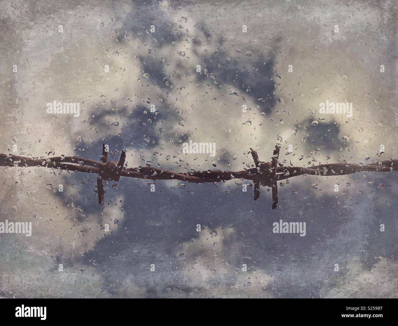 Barbed wire seen through dirty window with raindrops Stock Photo - Alamy