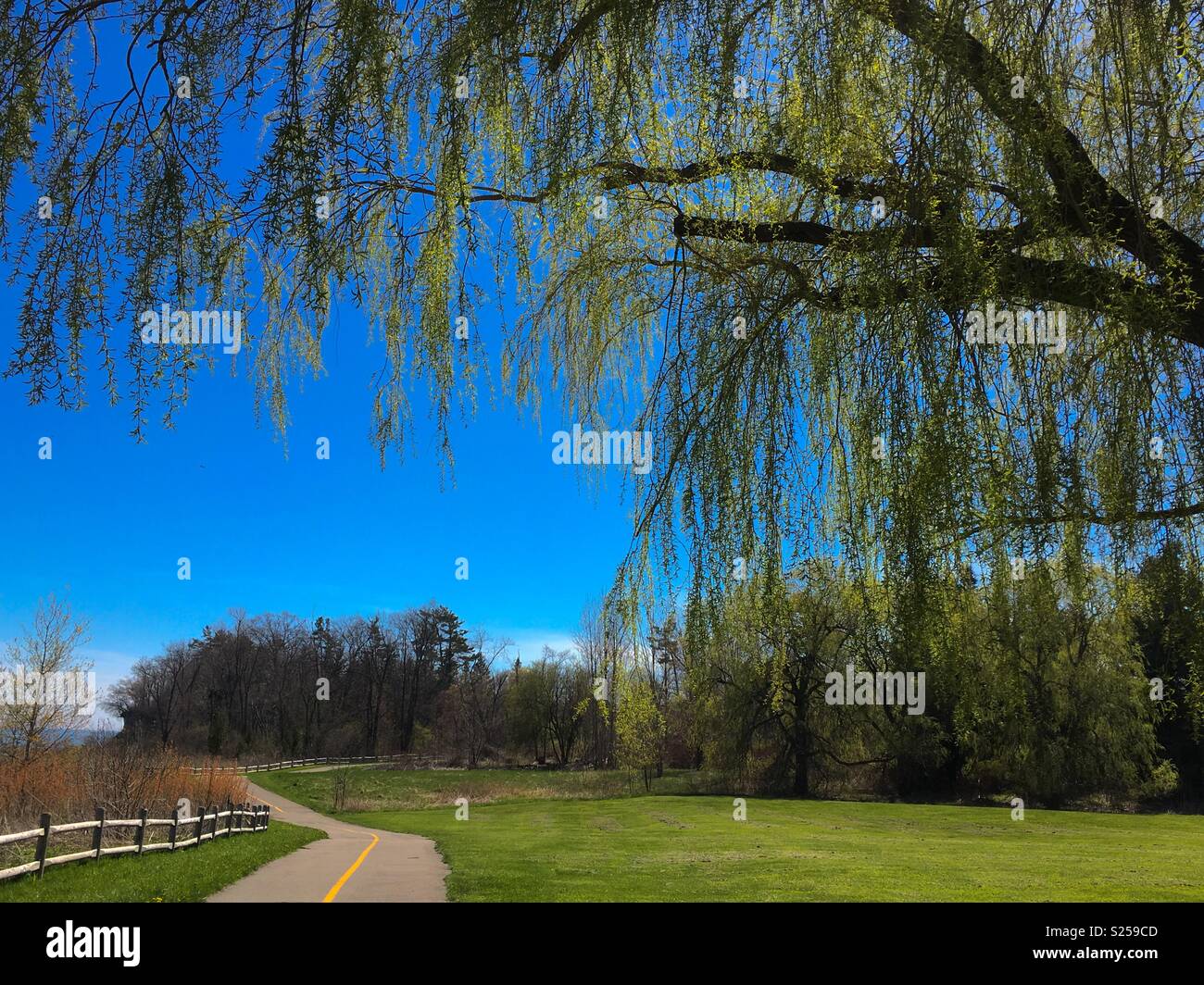 Blue spring trail hi-res stock photography and images - Alamy