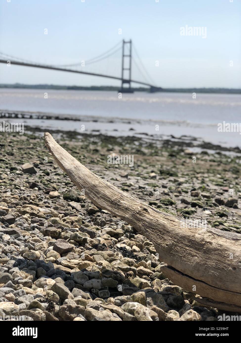 Hessle High Resolution Stock Photography and Images - Alamy