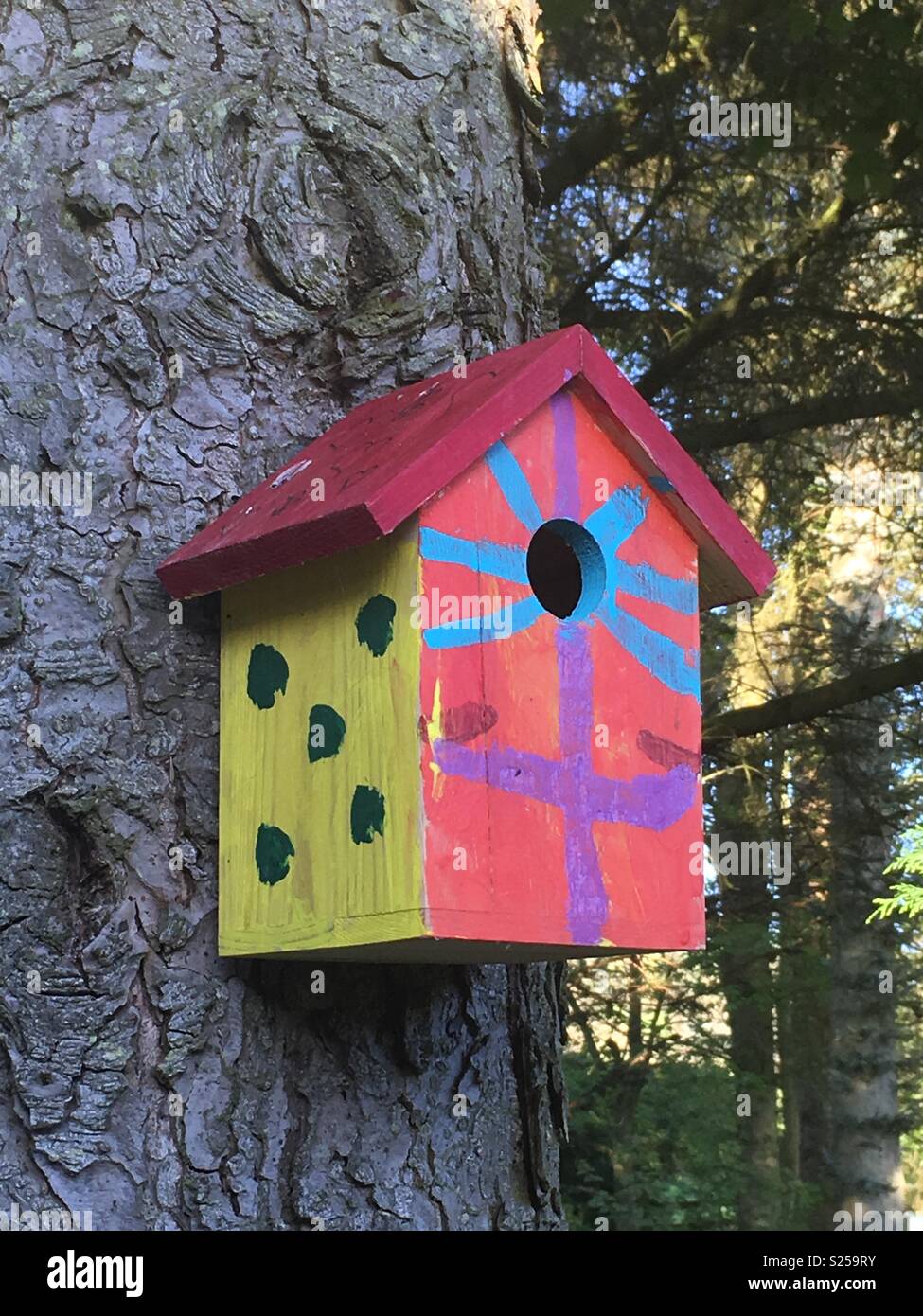 Yellow birdhouse hi-res stock photography and images - Alamy