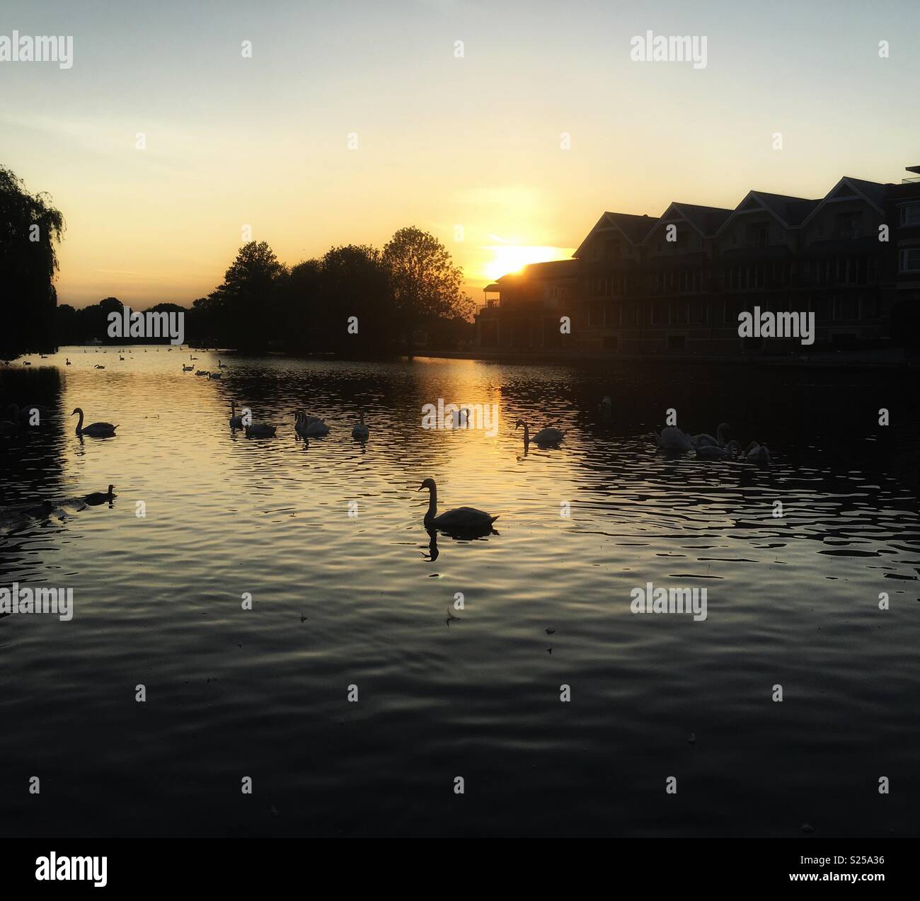 Windsor river Thames at sunset Stock Photo - Alamy